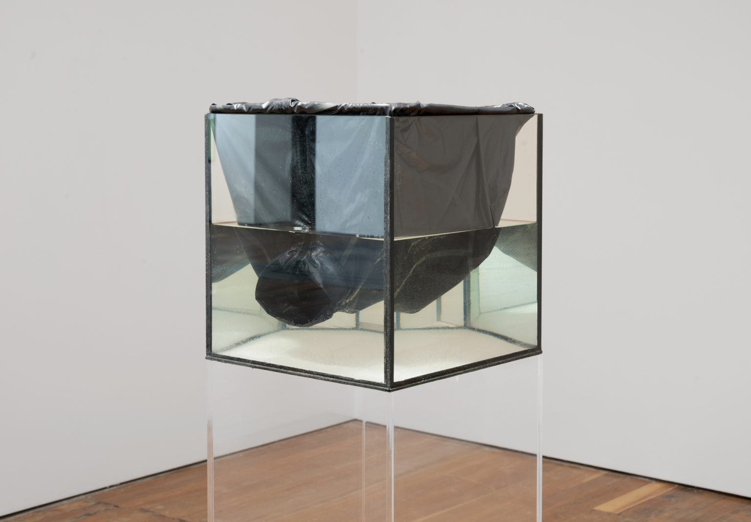 Richard Frater, Indifference - Michael Lett