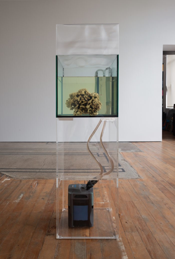 Richard Frater, Indifference - Michael Lett