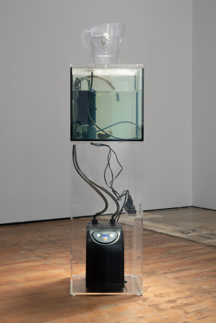 Richard Frater, Indifference - Michael Lett