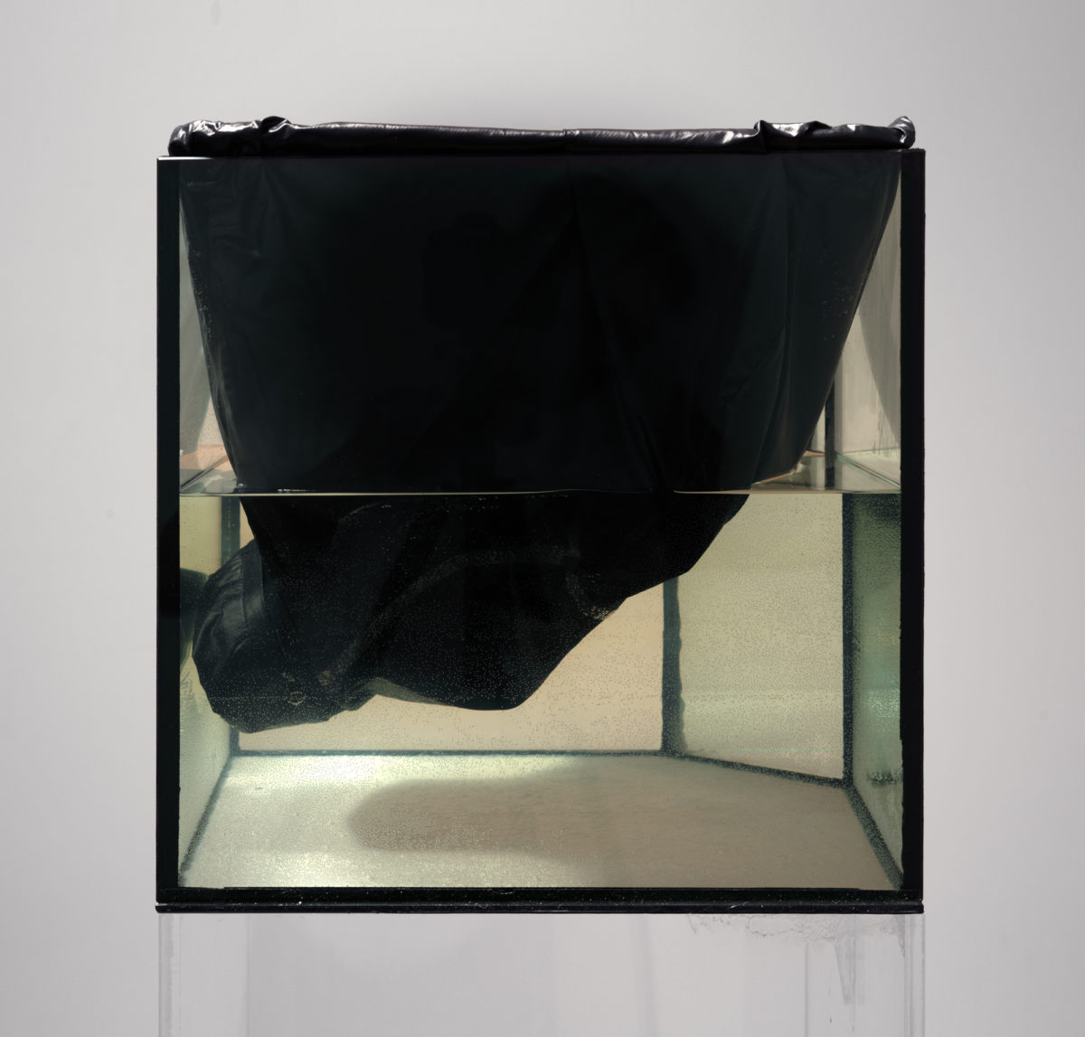 Richard Frater, Indifference - Michael Lett