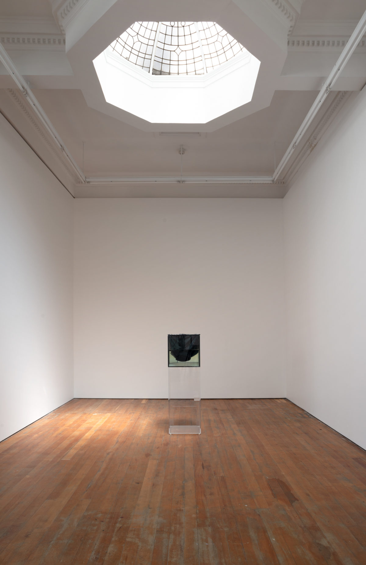 Richard Frater, Indifference - Michael Lett