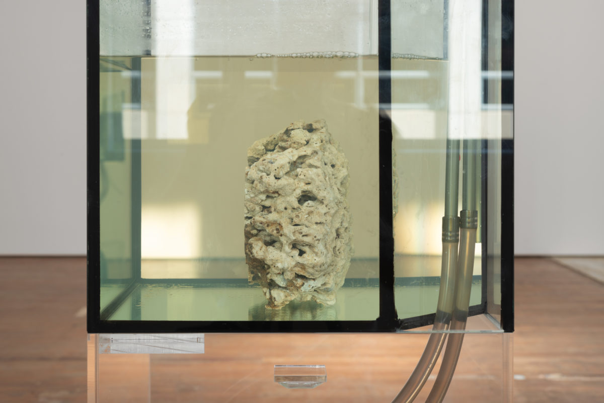 Richard Frater, Indifference - Michael Lett