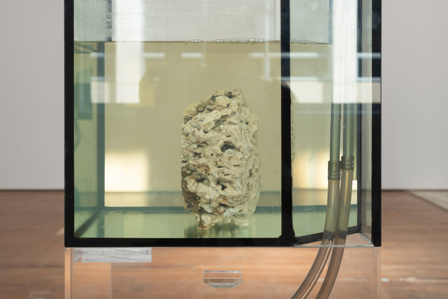 Richard Frater, Indifference - Michael Lett