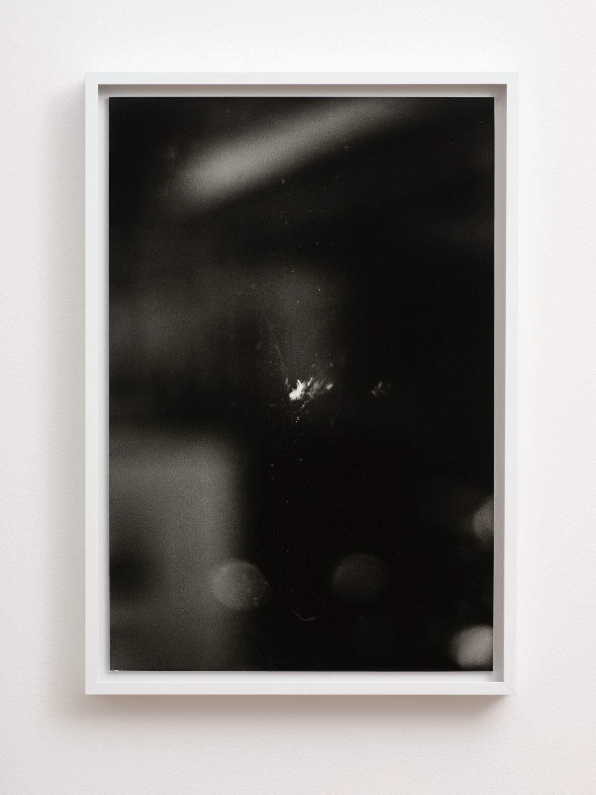 Richard Frater and Pauline Rhodes - Michael Lett