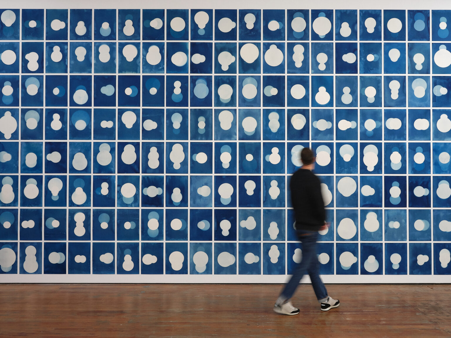 Gavin Hipkins - Michael Lett