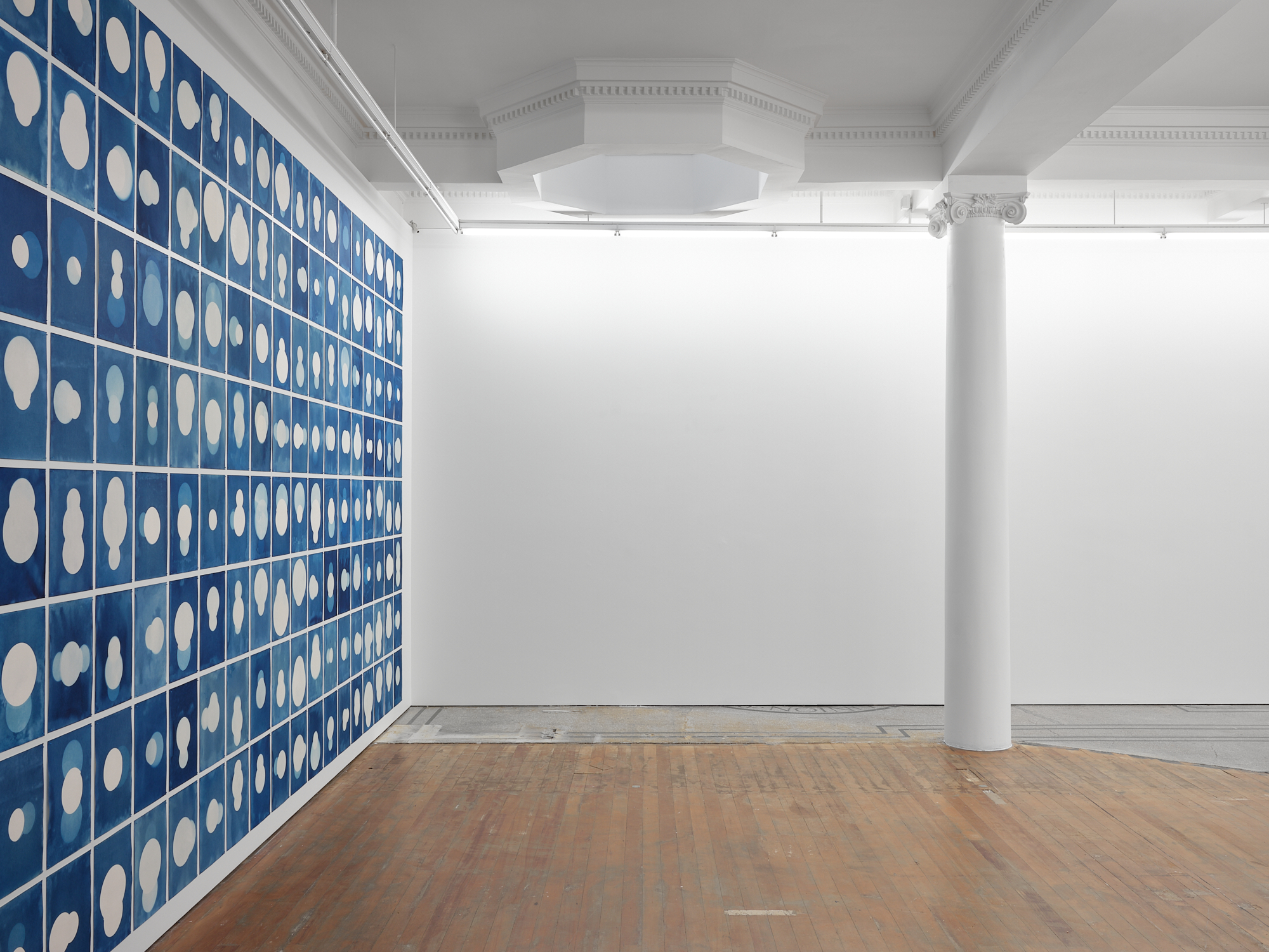 Gavin Hipkins - Michael Lett